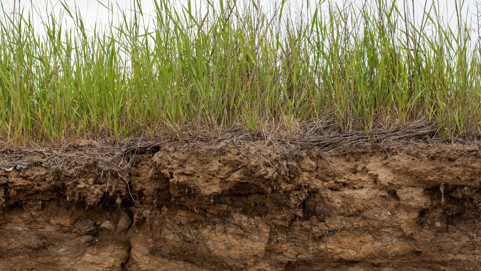 From Soil to Structure: Laying the Groundwork with Ease - Mygardenandpatio