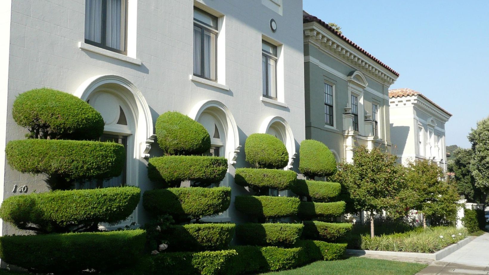 Native vs. Exotic Plants: What Works Better for Residential Landscapes ...